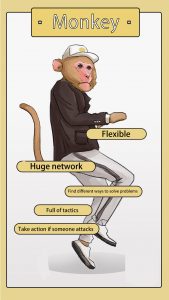 The Monkey: Investors behind Didi and ofo