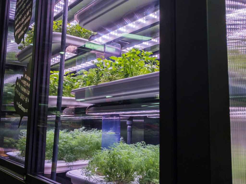 Infarm's tech-powered micro-farms deliver fresh produce on-site in ...