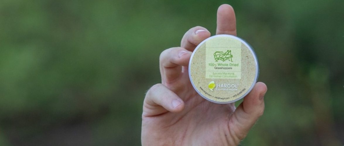 Grasshopper protein food tech startup Hargol raises USD 3 million