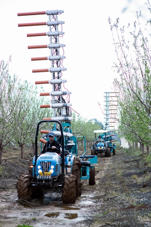 Here are seven Israeli bee tech firms protecting bee populations and ...