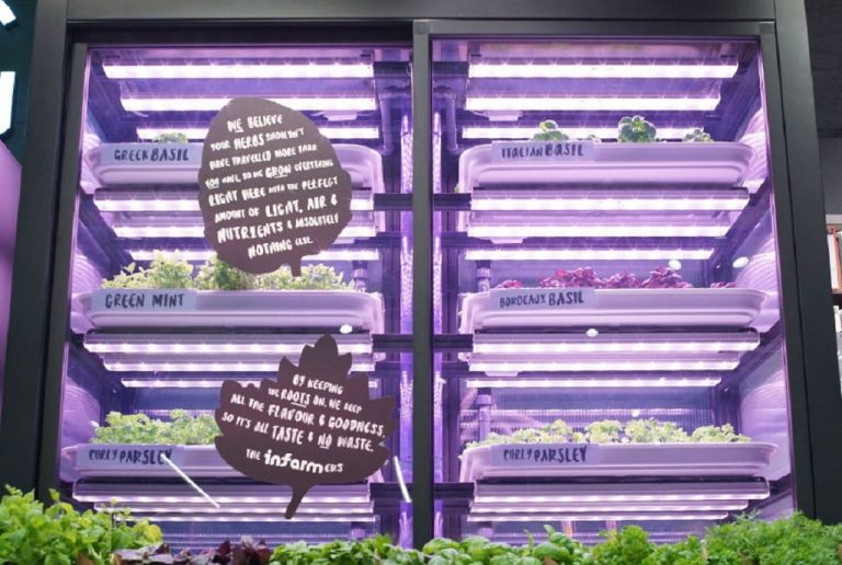 Urban farming startup Infarm launches cloud-connected growing centers