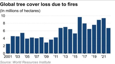 Global warming fuels extreme wildfires in a feedback loop