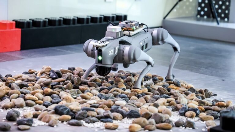 As robots get smarter, D-Robotics ships an SoC kit to close the loop